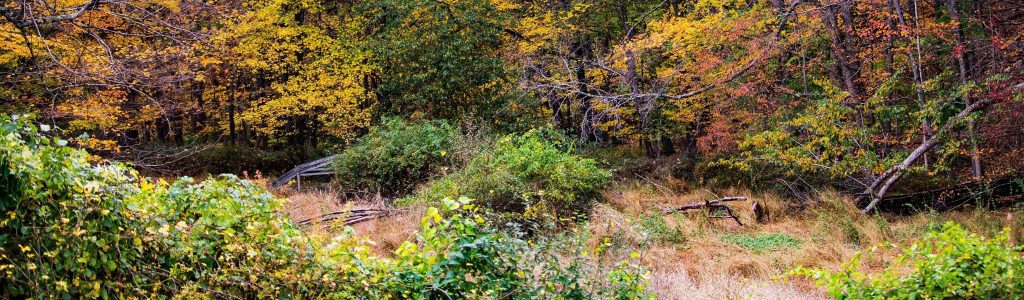 Bedford Audubon Society » Thankful for you: Thank you to Mathew McDowell!
